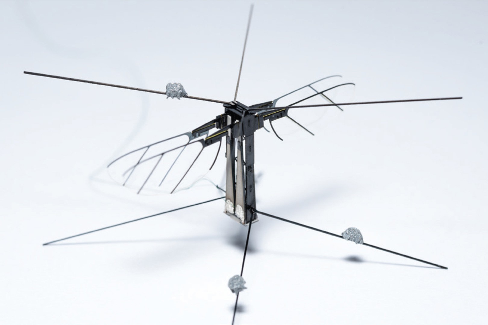 Researchers build bee robot that can twist