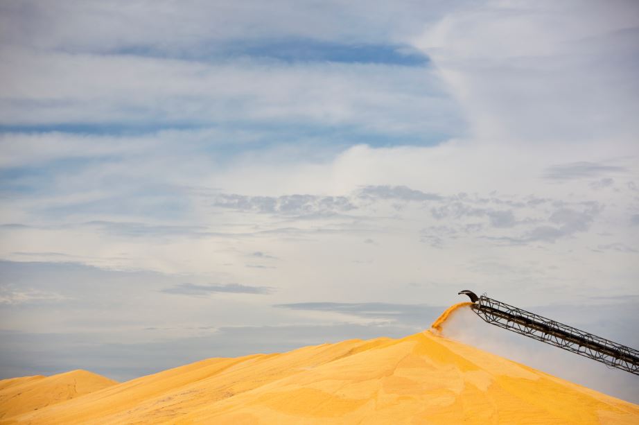 RED II: A New Challenge for the EU Biofuels Industry