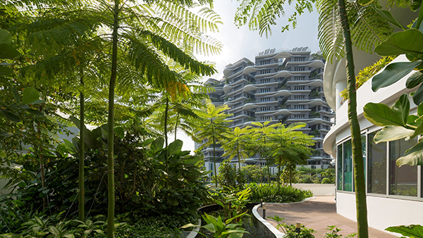 3 Reasons Why Regenerative Design is Essential Today