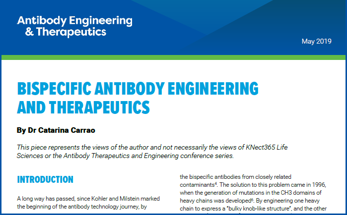 Bispecific antibody engineering and therapeutics - WHITEPAPER