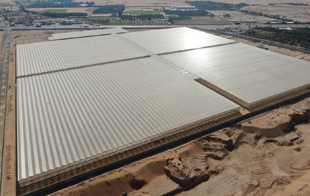 Dava Agricultural signs new major greenhouse contract with Debets Schalke