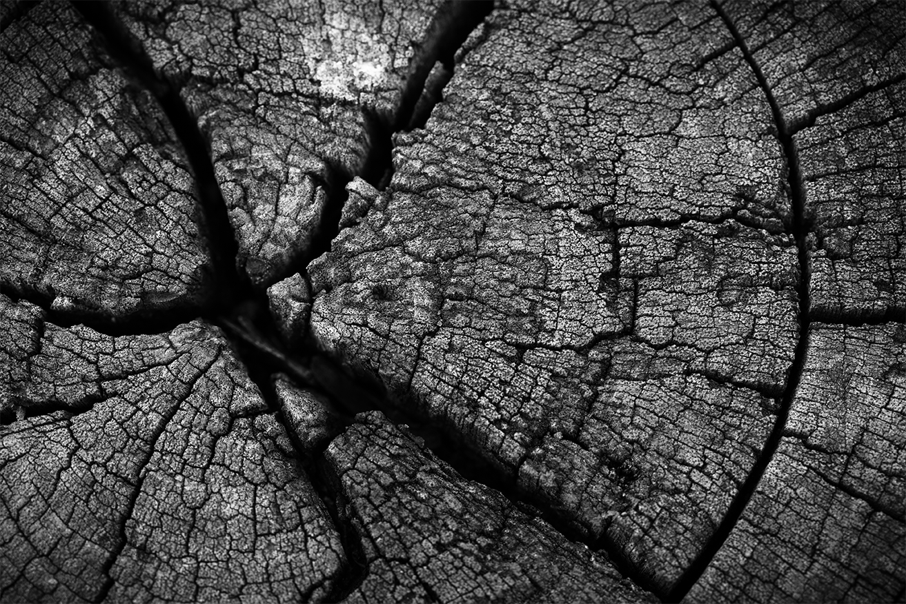 Local volatility in interest rate model