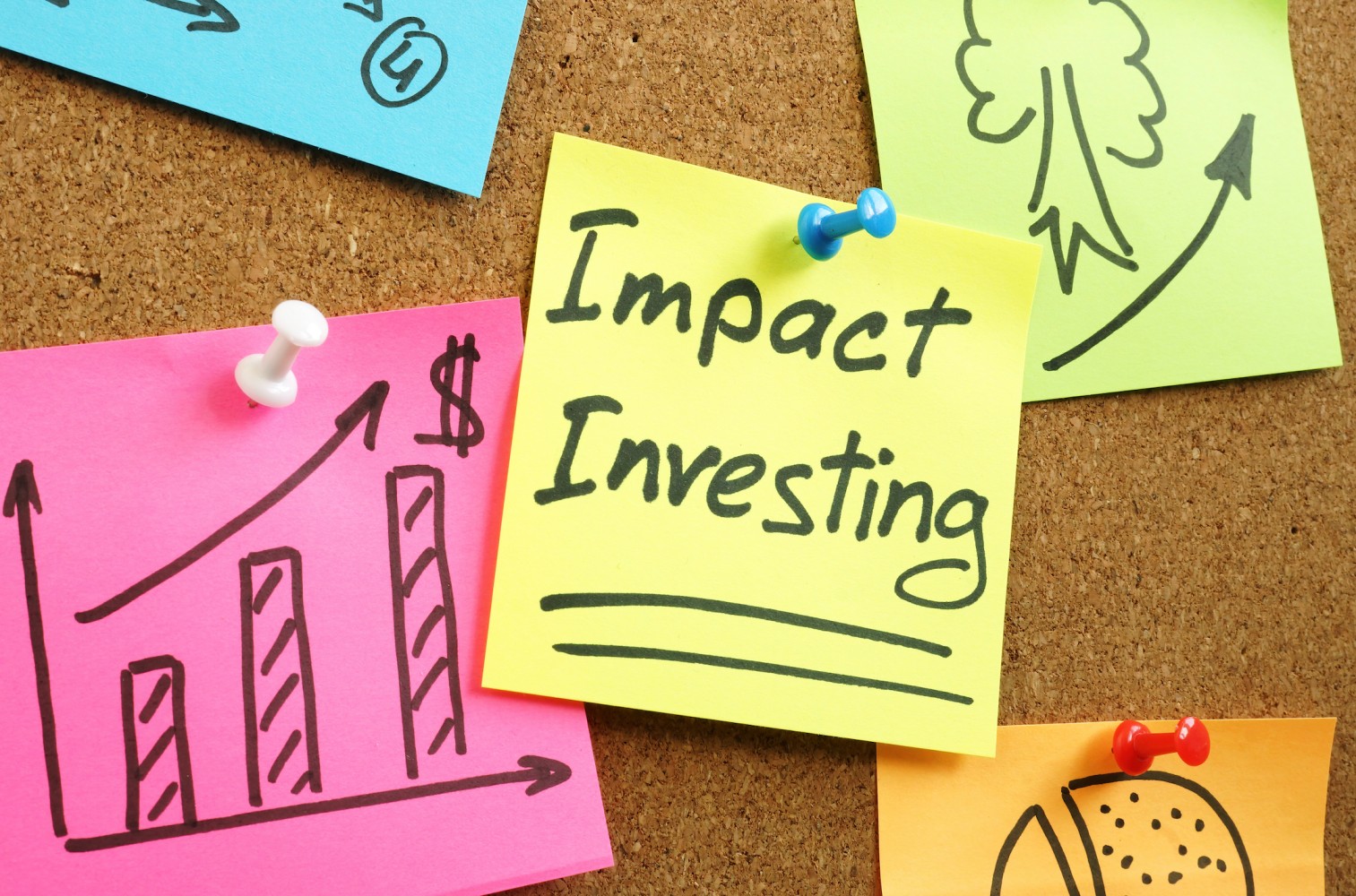 A comprehensive impact measurement framework is a key to success for ...