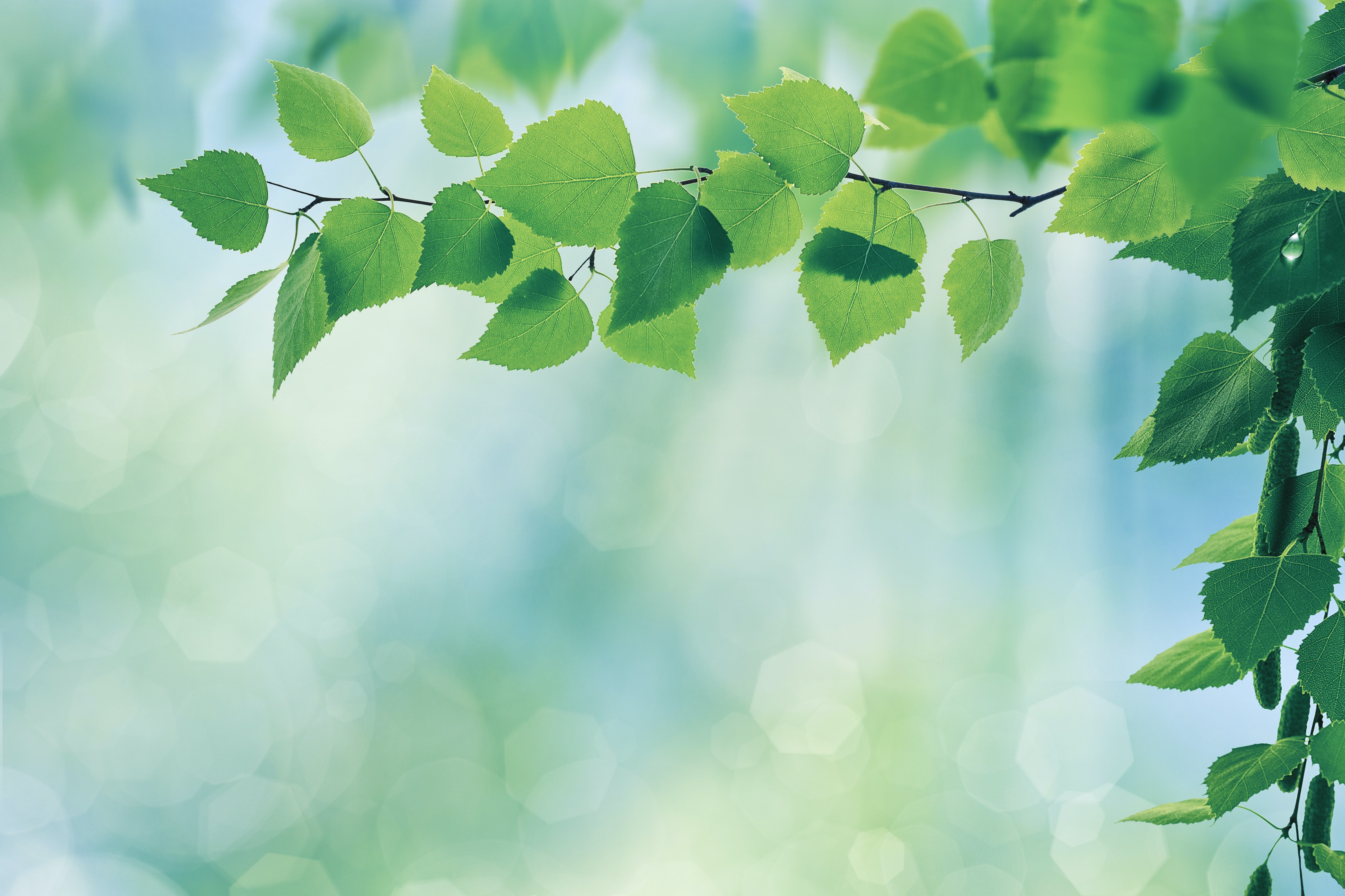 Climate risk management and analytics: How can we plan ahead and create ...