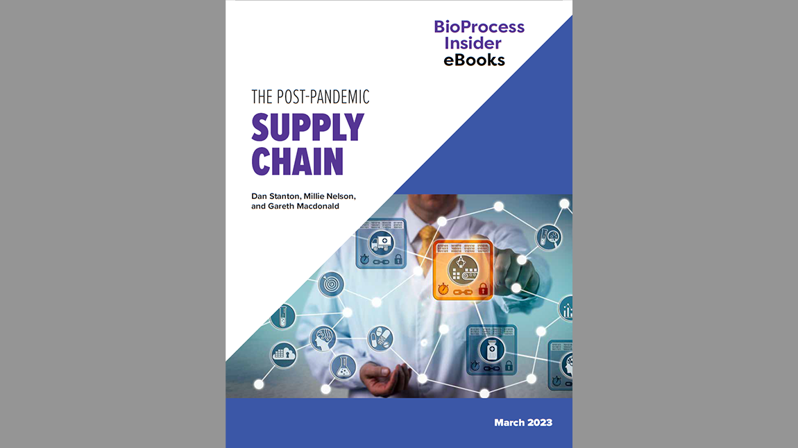 BPI eBook: The Post-Pandemic Supply Chain
